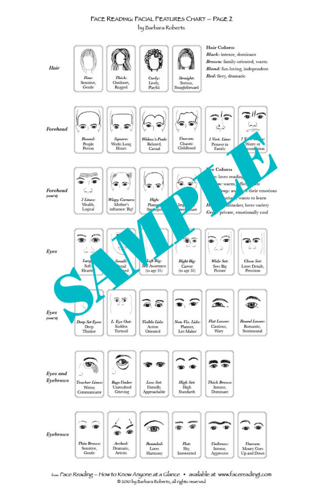 PDF Face Chart (English) | Face Reading